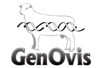 Home - GenOvis
