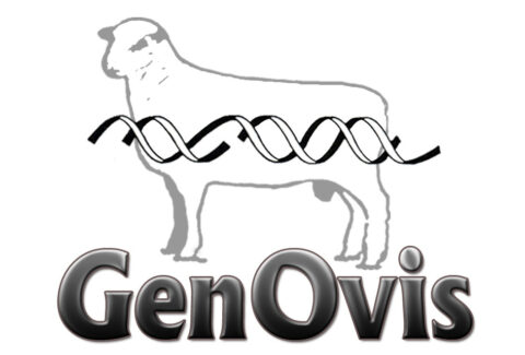 Home - GenOvis