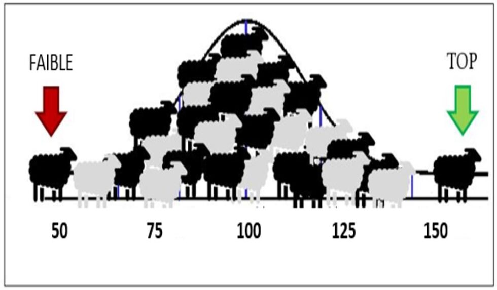 Indice en base 100 - GenOvis